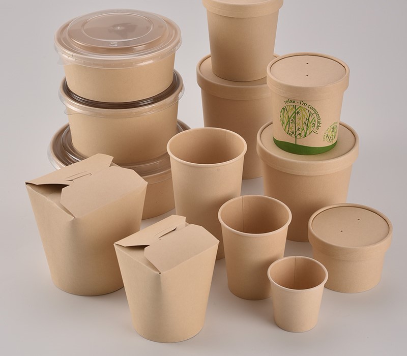 Disposable Takeaway Boxes — Supa Export